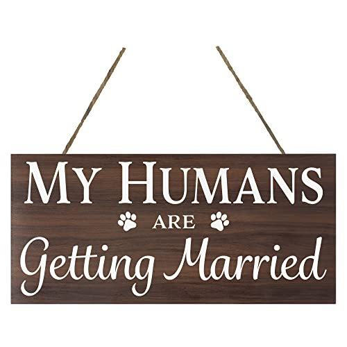 Our Humans Are Getting Married Sign Sentiment Signs In Devon Wedding