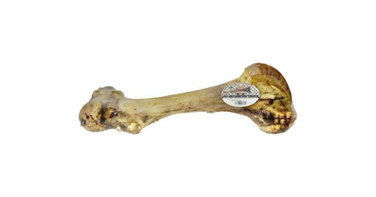 Made In USA | Femur Beef Bone