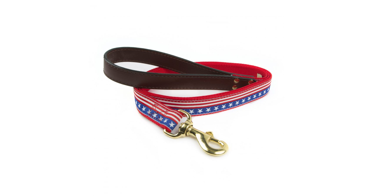 Made In the USA | American Traditions Leather and Ribbon Dog Leash