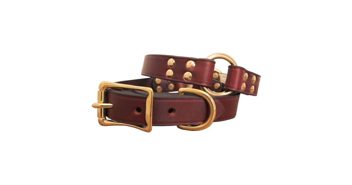 Made In USA | Center Ring Hunting Collar - Leather