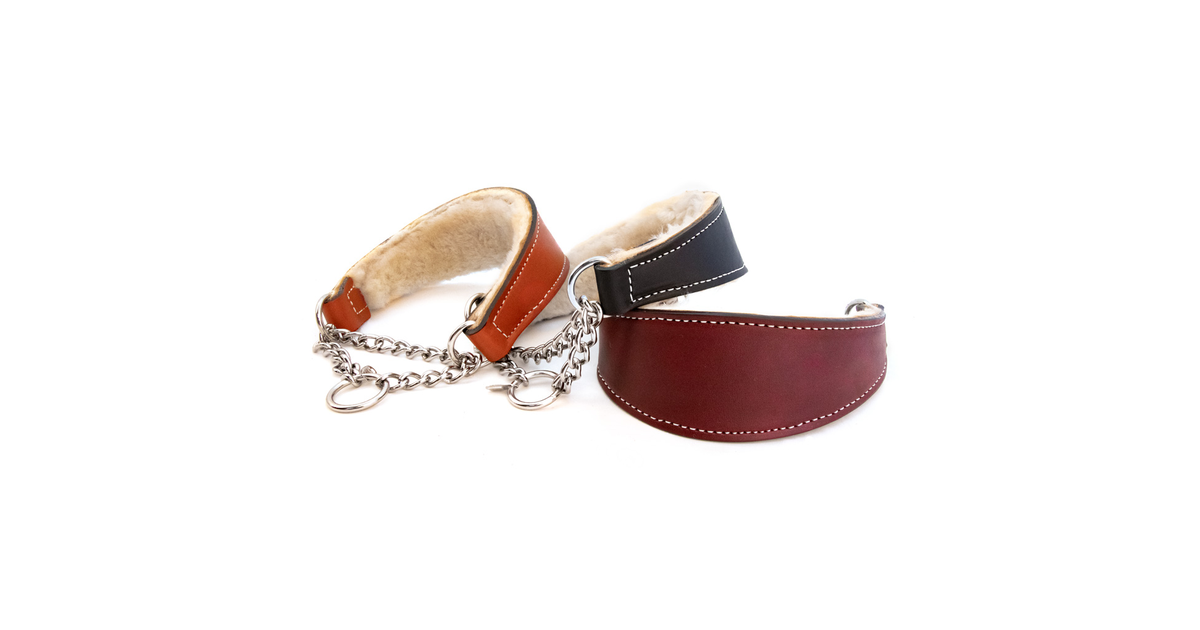 Made In USA | Martingale Shearling-Lined Collar